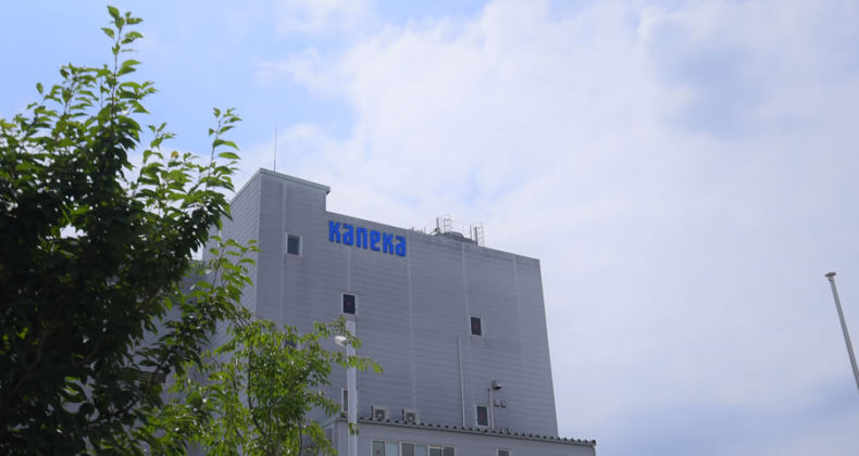 会社概要 | 株式会社東京カネカフード